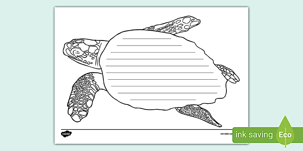 Turtle Writing Frame (teacher made) - Twinkl