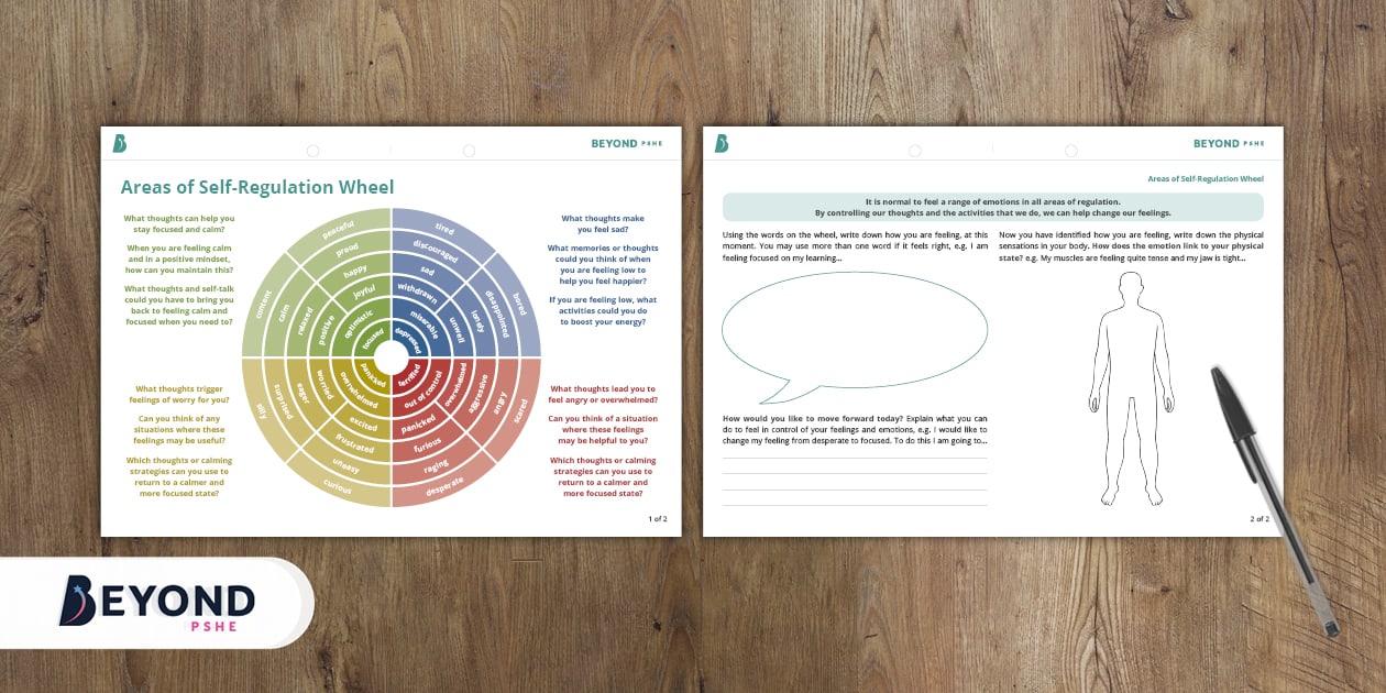 Areas of Self-Regulation Wheel (teacher made) - Twinkl