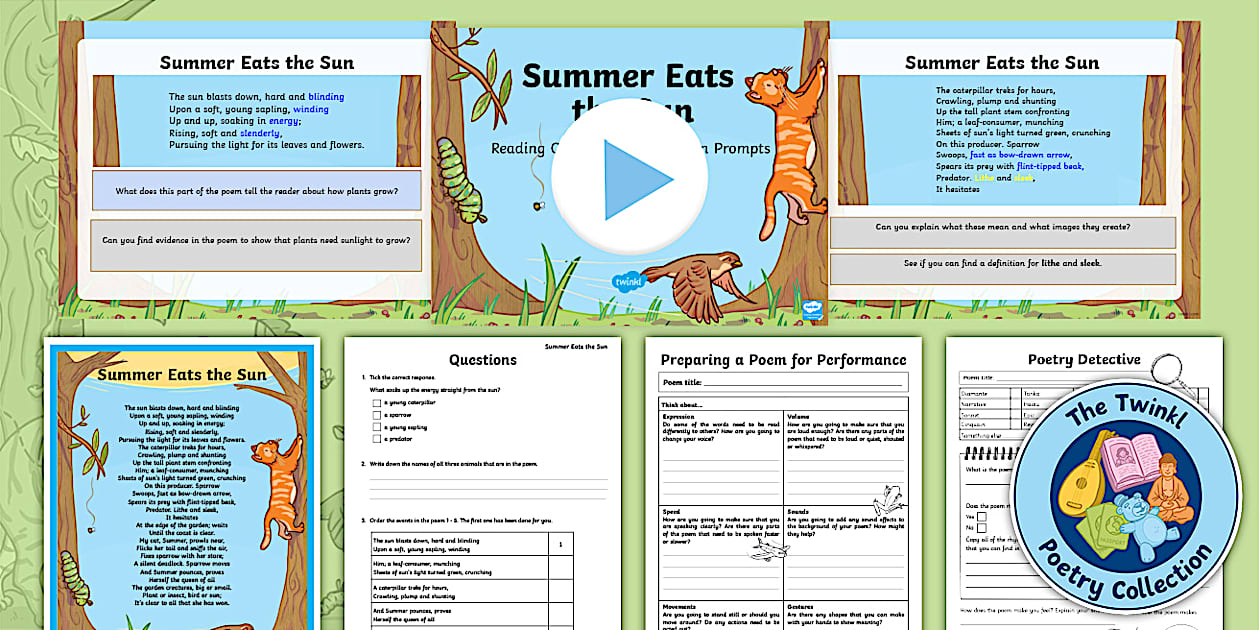 'Summer Eats the Sun' – Food Chains Free Verse Poem for KS2