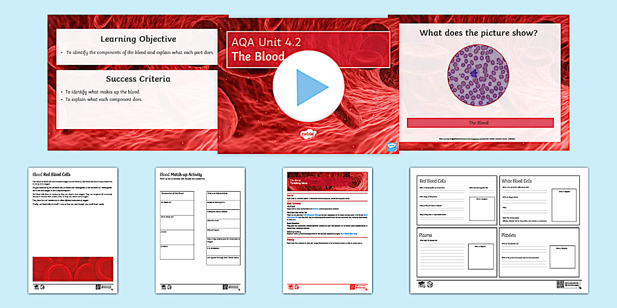 AQA Biology Unit 2 The Blood Cover Lesson Pack - Twinkl