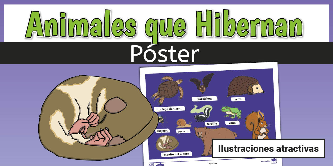 Póster: Animales que Hibernan