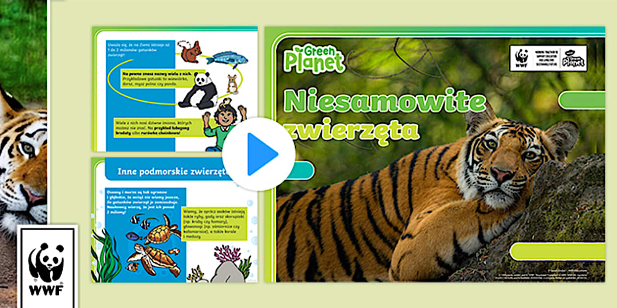 WWF Niezwykłe zwierzęta | Prezentacja PowerPoint - Twinkl