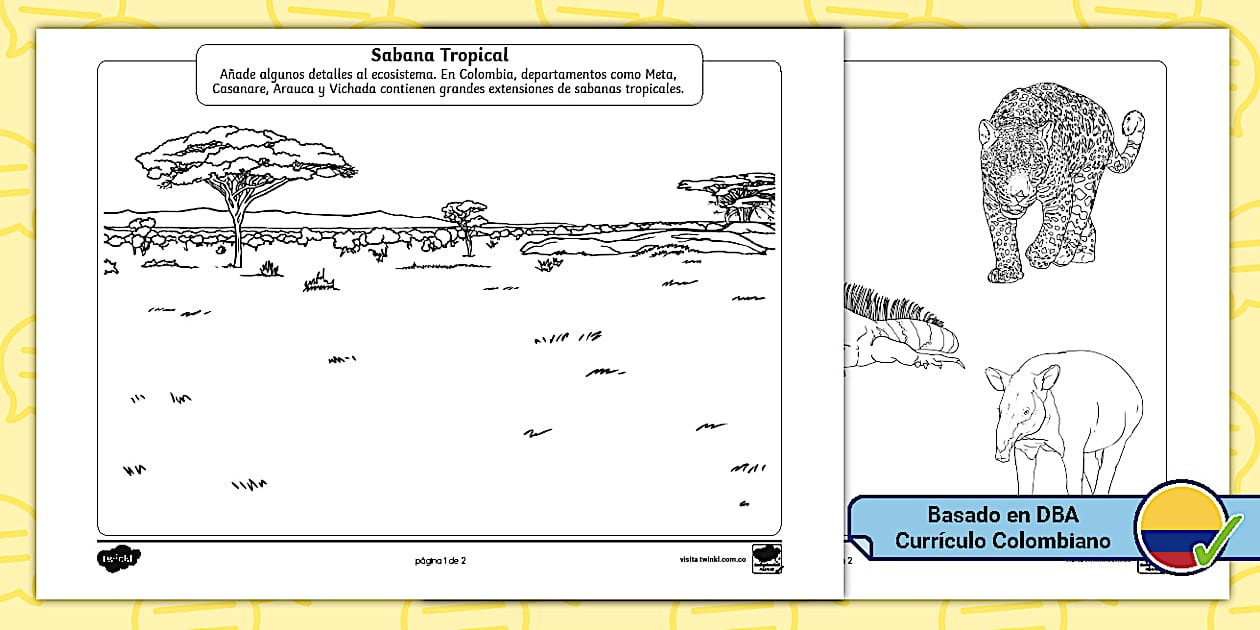 Actividad para Colorear - Sabana Tropical Llanos Orientales