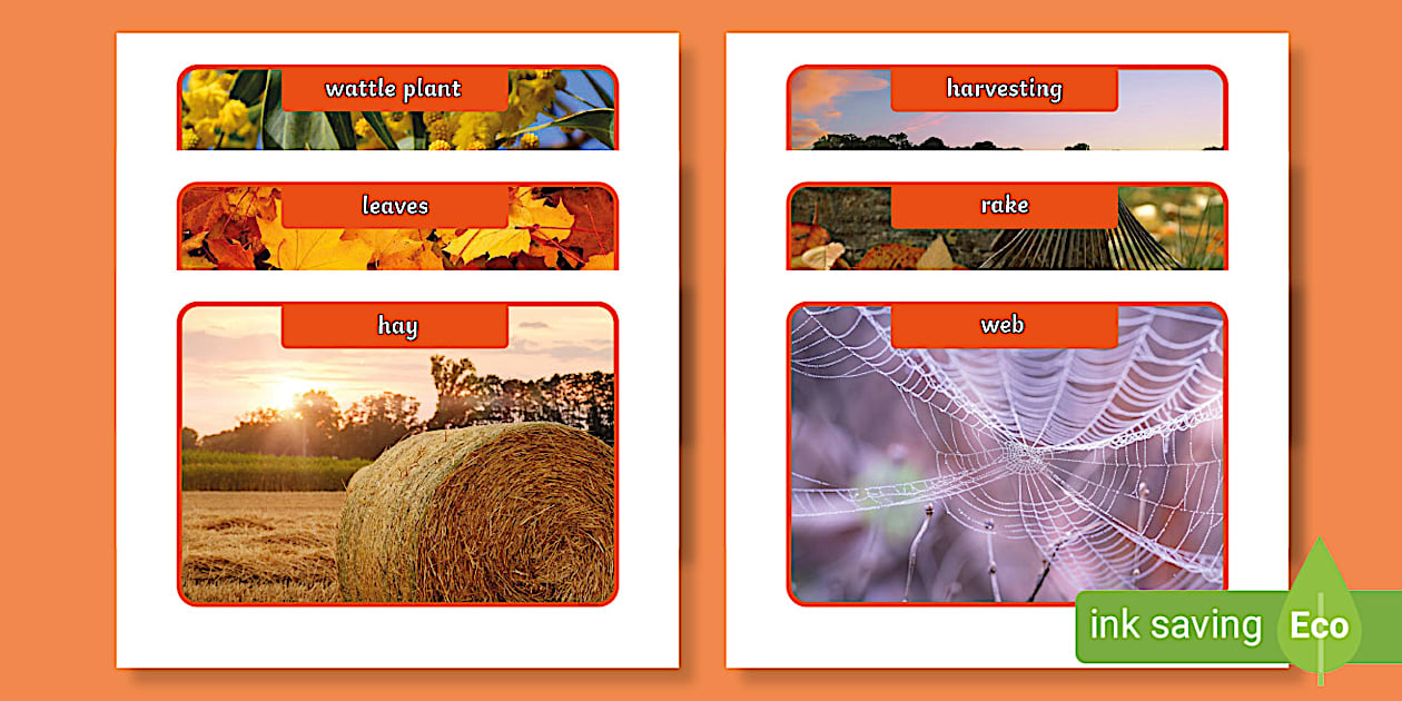 Autumn Display Photos (teacher made) - Twinkl