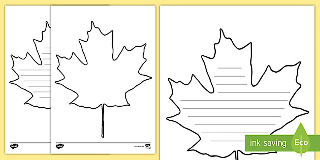 Simple Maple Leaf Outline - Twinkl Canada (teacher made)