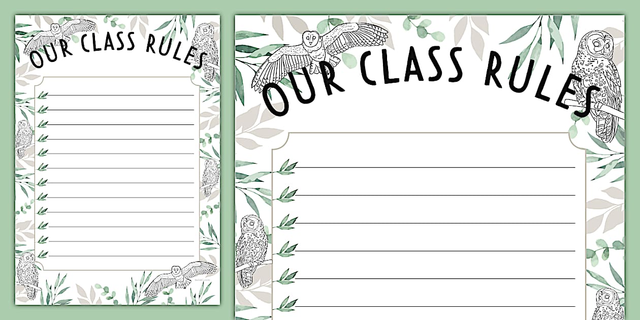 Muted Botanical Themed Owls Our Class Rules Display Poster
