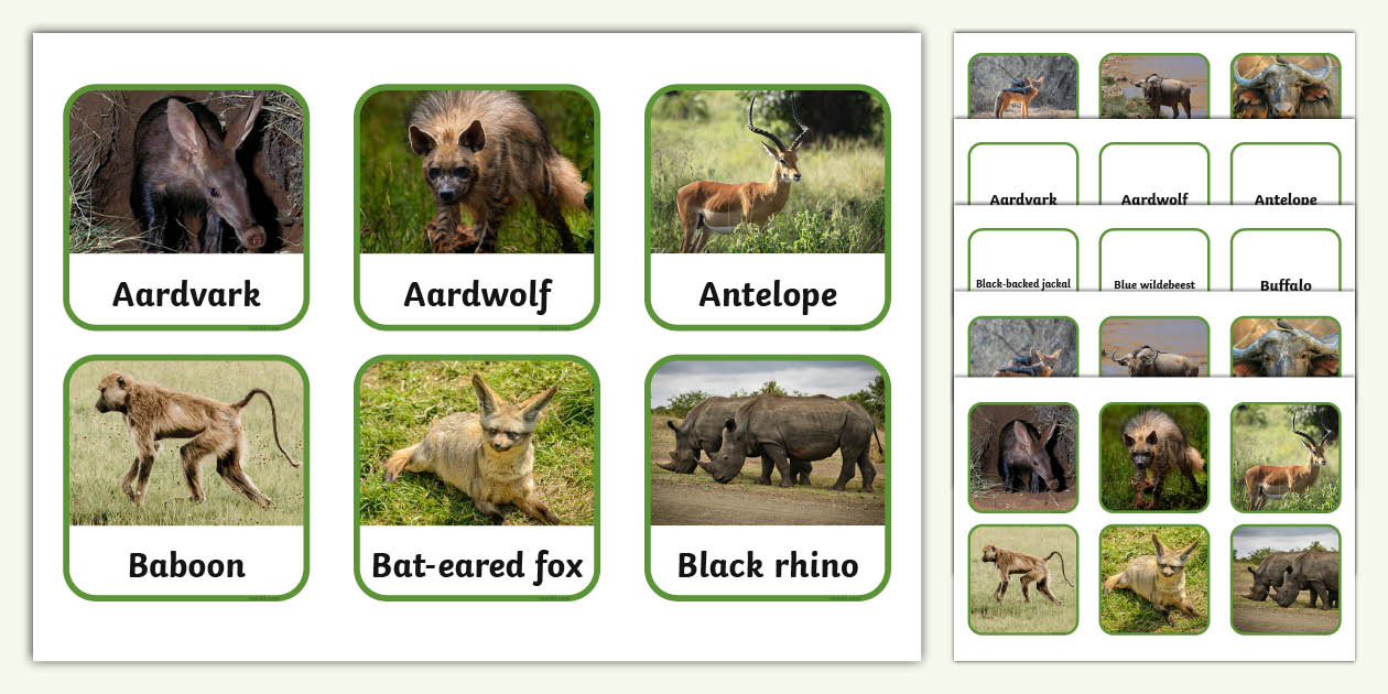 Grade R - Wild Animals -Matching Cards:South African Mammals