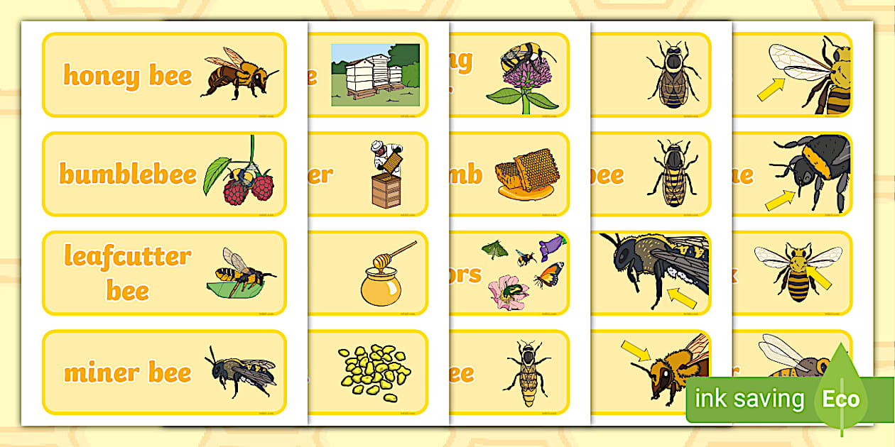 World Bee Day Word Cards (Teacher-Made) - Twinkl