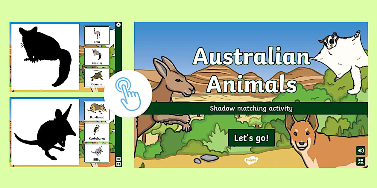 Australian Animals Shadow Matching Activity