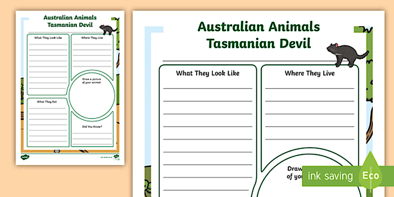 SA Australian Animals Tasmanian Devil Report Writing Template