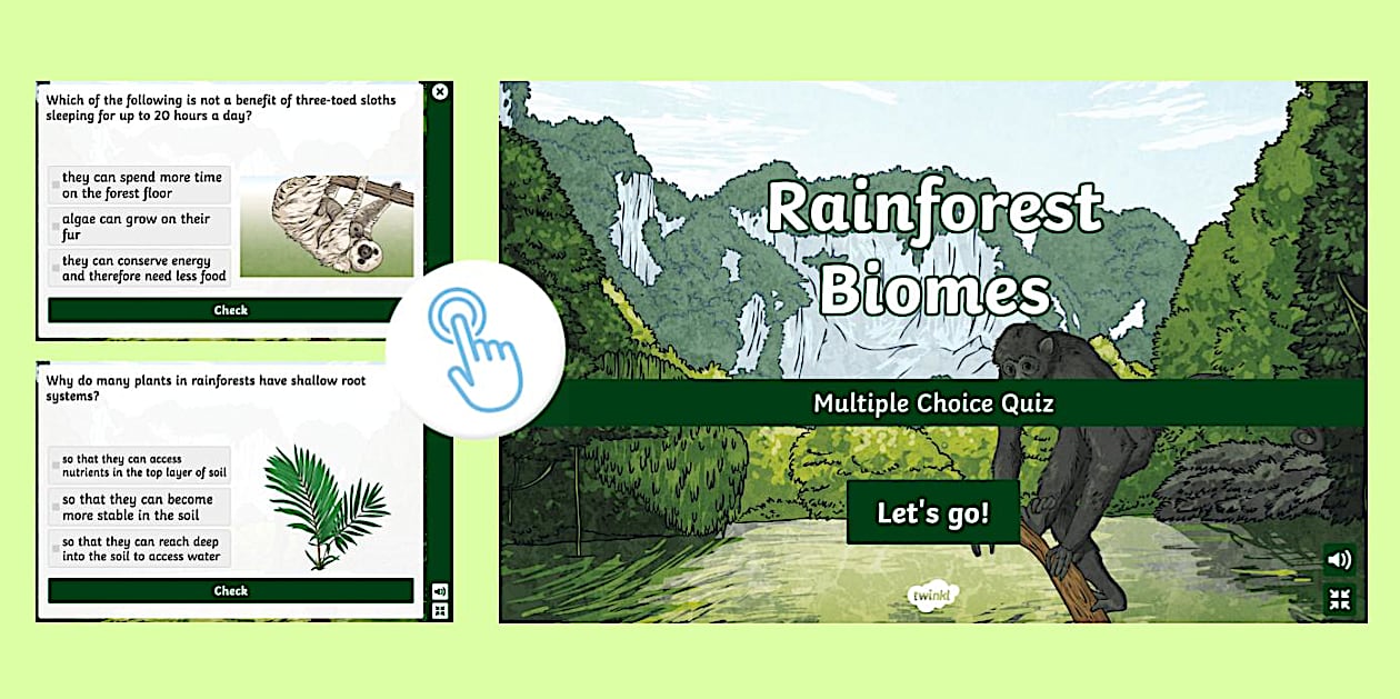 Rainforest Biomes Multiple Choice Quiz (Teacher-Made)