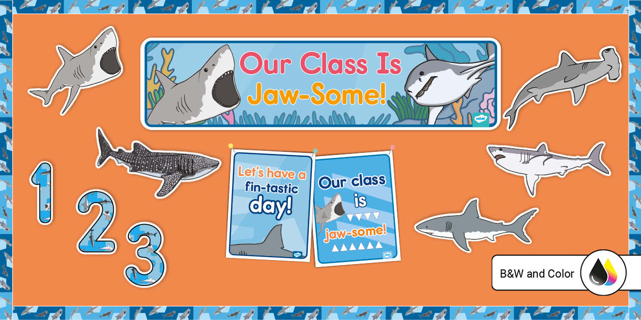 * NEW * Shark Bulletin Board | Shark Week | Twinkl USA