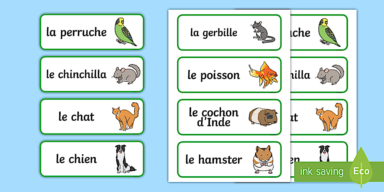 Cartes de vocabulaire : les animaux (teacher made) - Twinkl