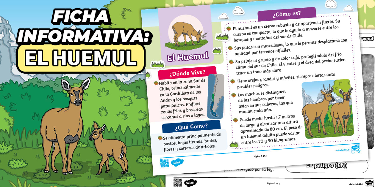 Ficha Informativa | El Huemul | Fauna Chilena | Ciencias