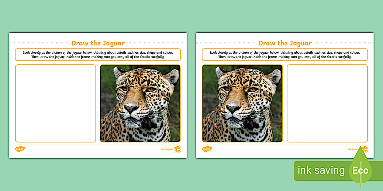 Draw the Jaguar Worksheet (Teacher-Made) - Twinkl