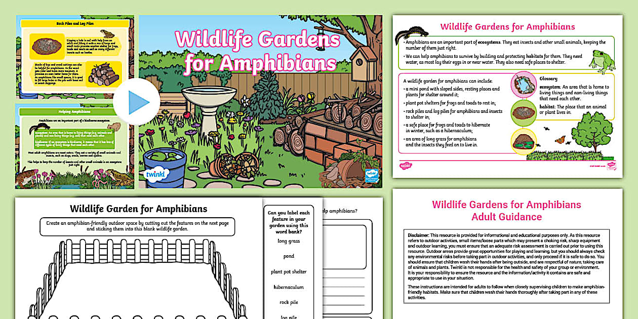 Wildlife Garden for Amphibians Activity Pack (Teacher-Made)