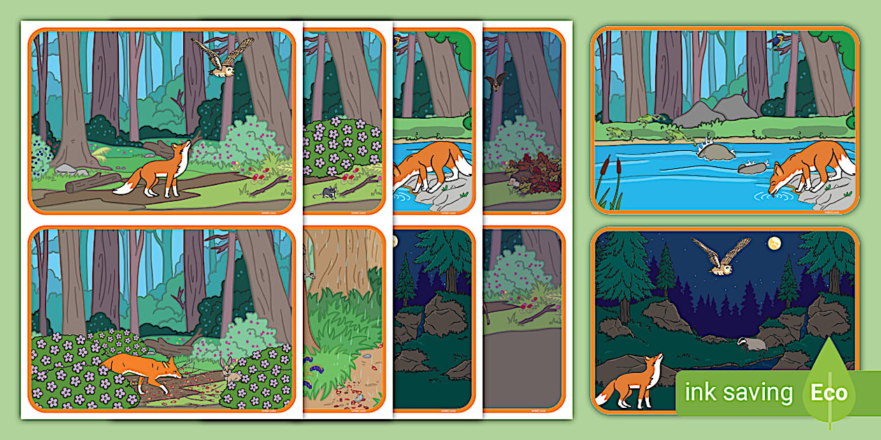 Little Fox Woodland Sensory Story Sequencing Cards | Twinkl