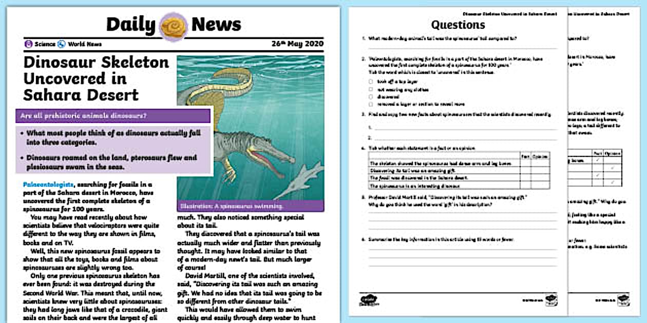 Largest Dinosaur Skeleton Uncovered | News Story (Ages 9-11)