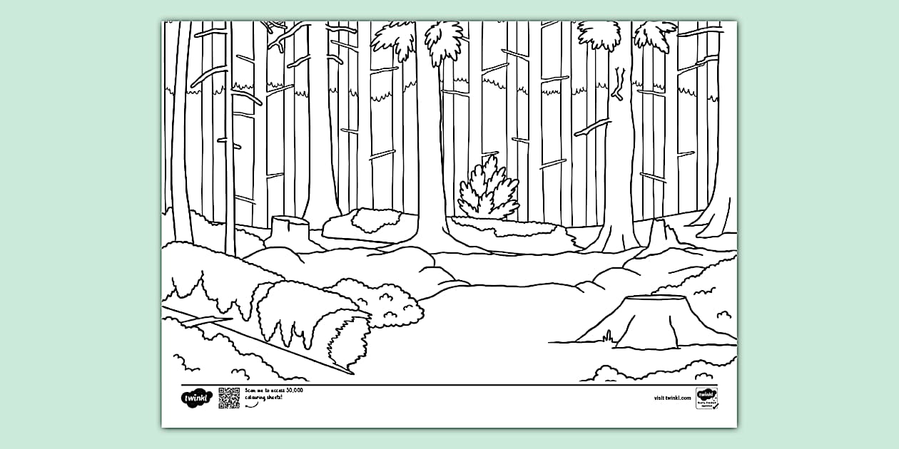 Woodland Habitat Colouring Sheet (teacher made) - Twinkl