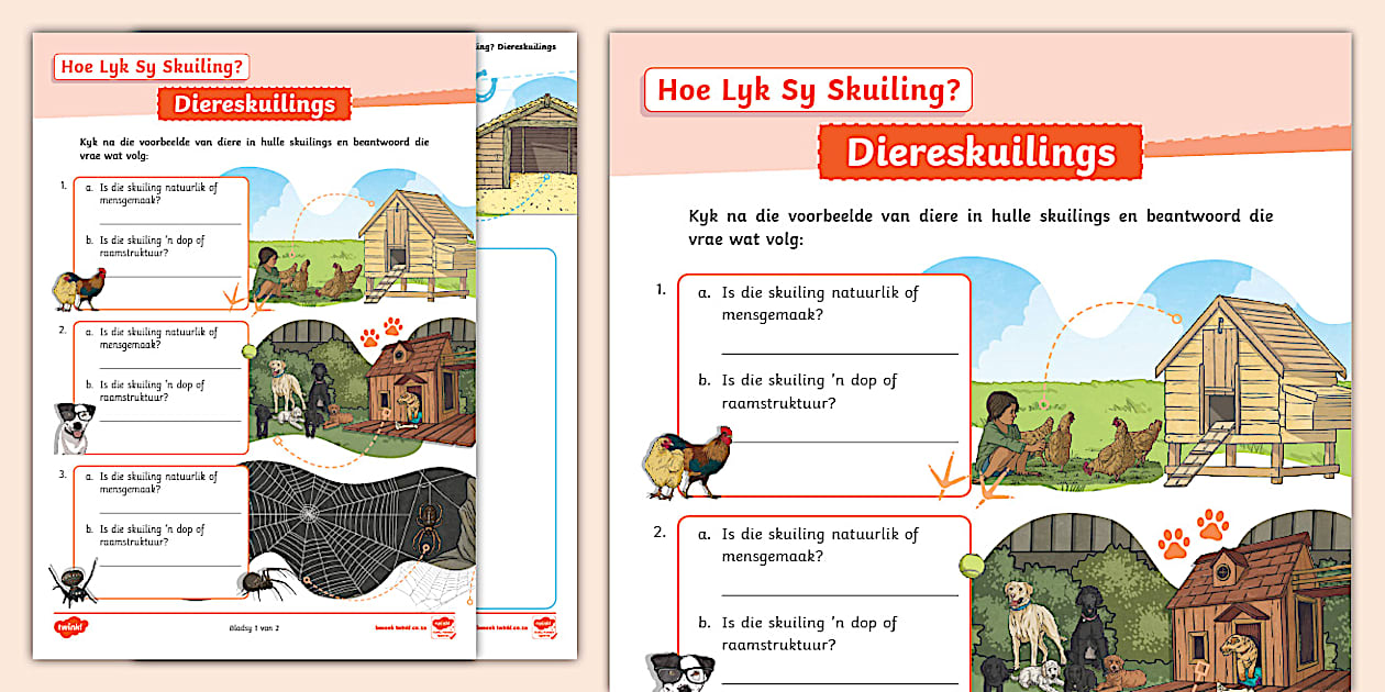 Hoe lyk sy skuiling? - Aktiwiteit (professor feito) - Twinkl