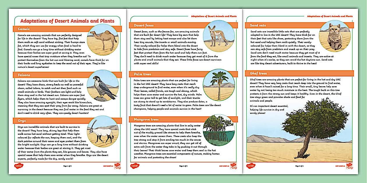 Desert Life Fact File