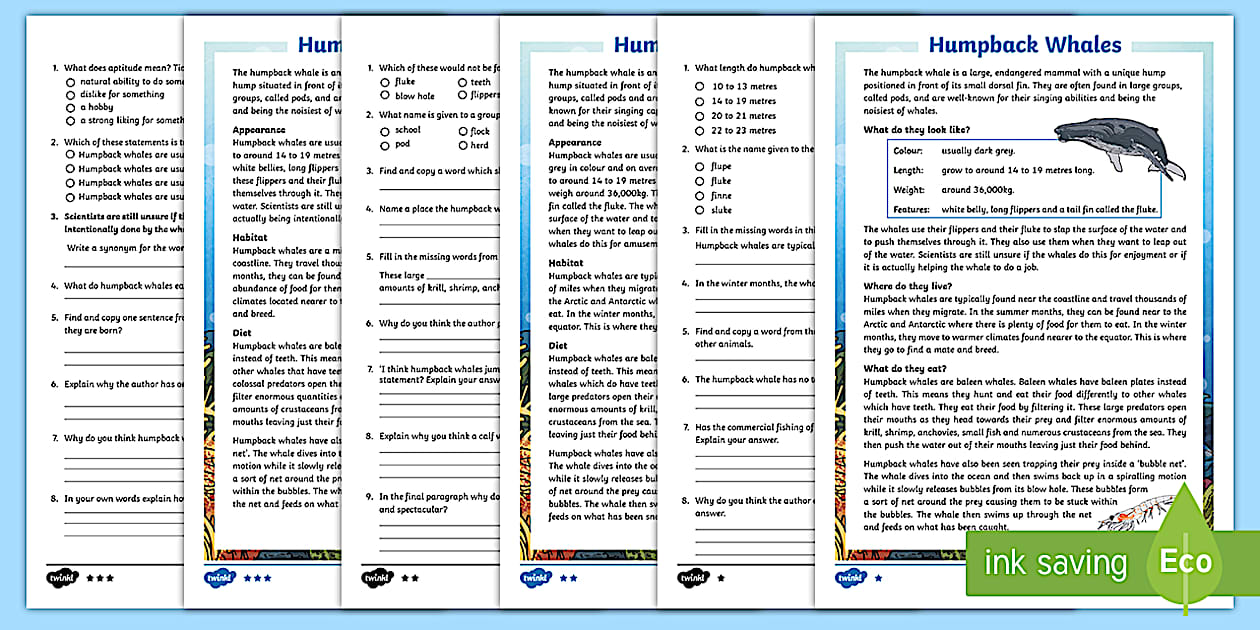 Lower Ability Differentiated Humpback Whale Worksheets