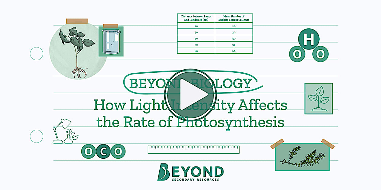 Biology How Light Intensity Affects Rate of Photosynthesis