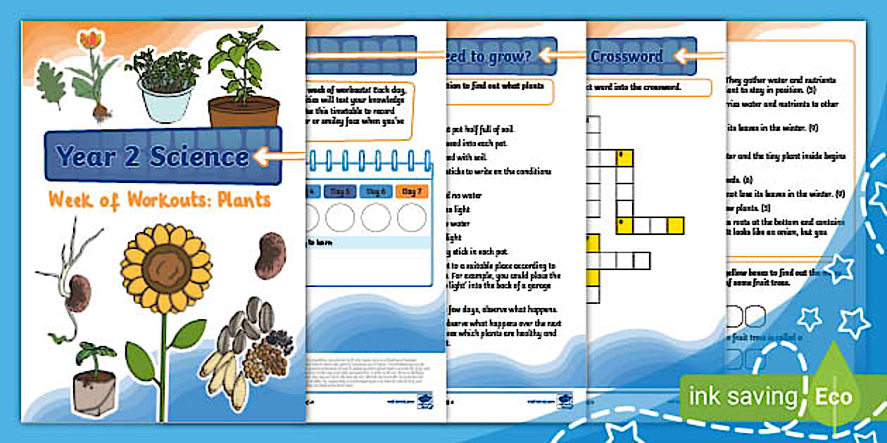 Year 2 Science Week of Workouts: Plants (Ages 6 - 7)