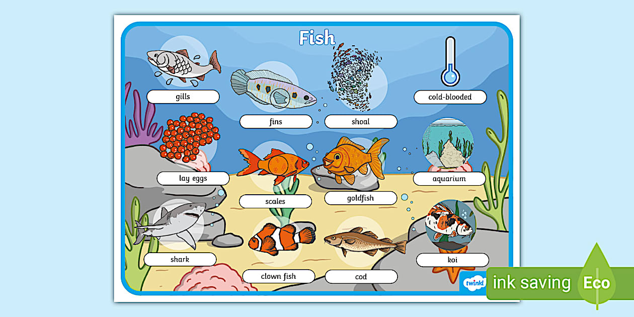 Fish Word Mat - Twinkl - KS1 (teacher made) - Twinkl