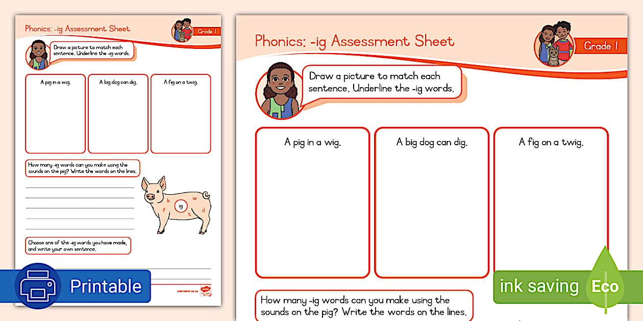 Grade 1 Phonics: -ig Assessment Sheet