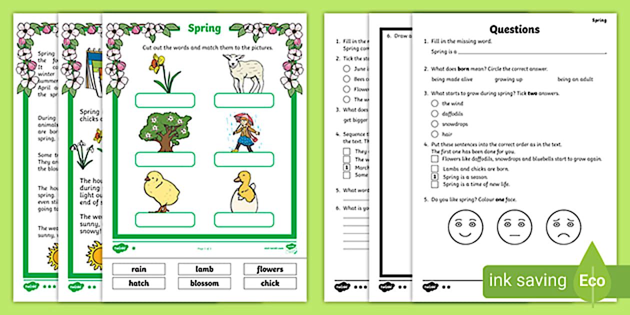 Signs of Spring Comprehension Activity (Lehrer gemacht)