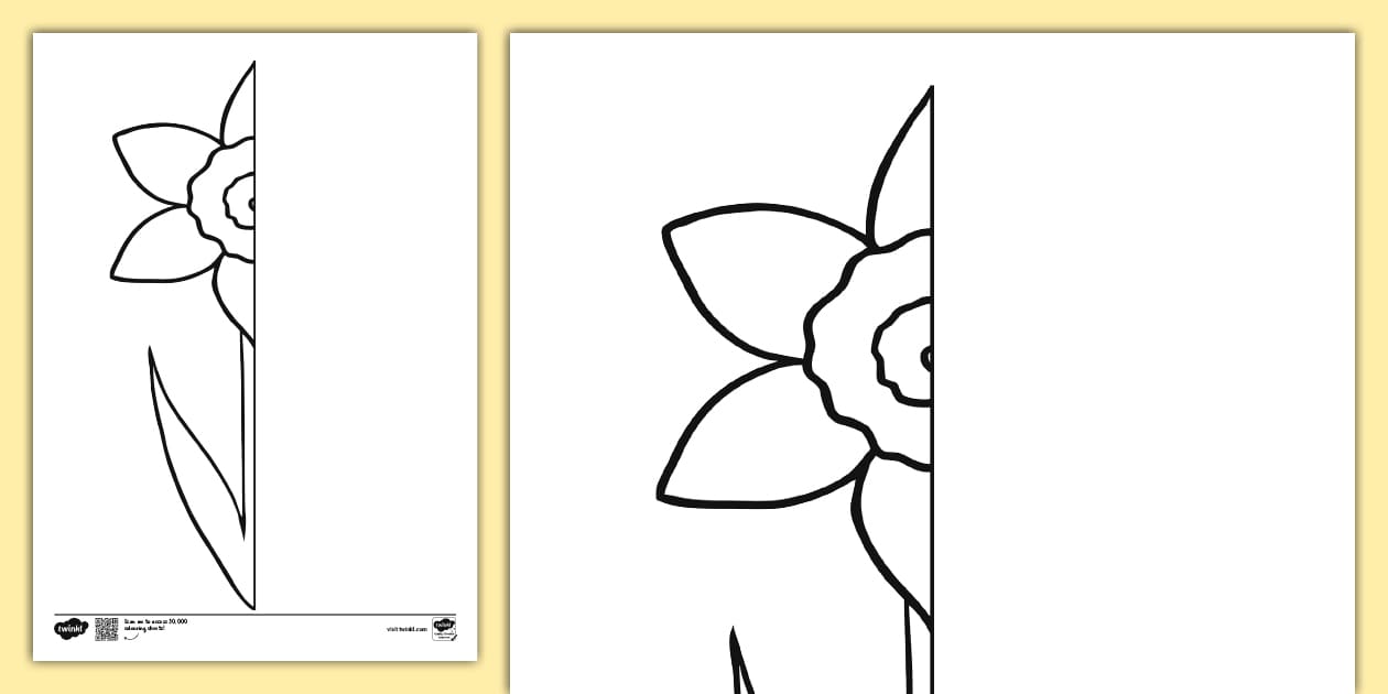 Half a Daffodil Colouring Sheet | Colouring Sheets - Twinkl