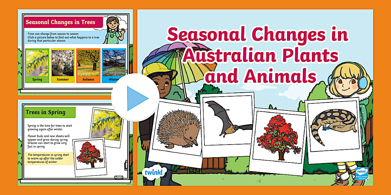 Seasonal Changes in Australian Plants and Animals PowerPoint