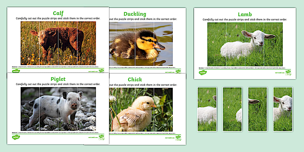 Baby Farm Animals Photo Puzzle Strips (teacher made)