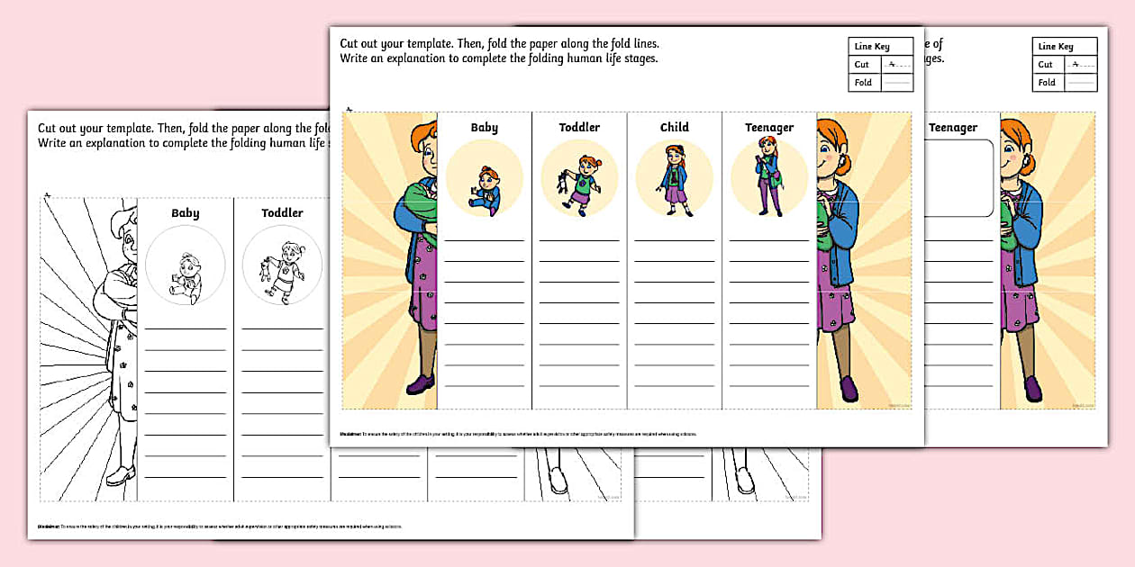 Human Folding Life Stages Template (teacher made) - Twinkl