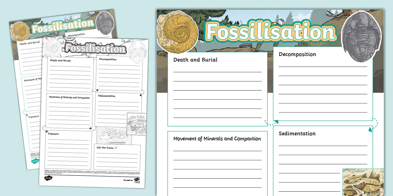 Fossilisation Fact File Template (Teacher-Made) - Twinkl