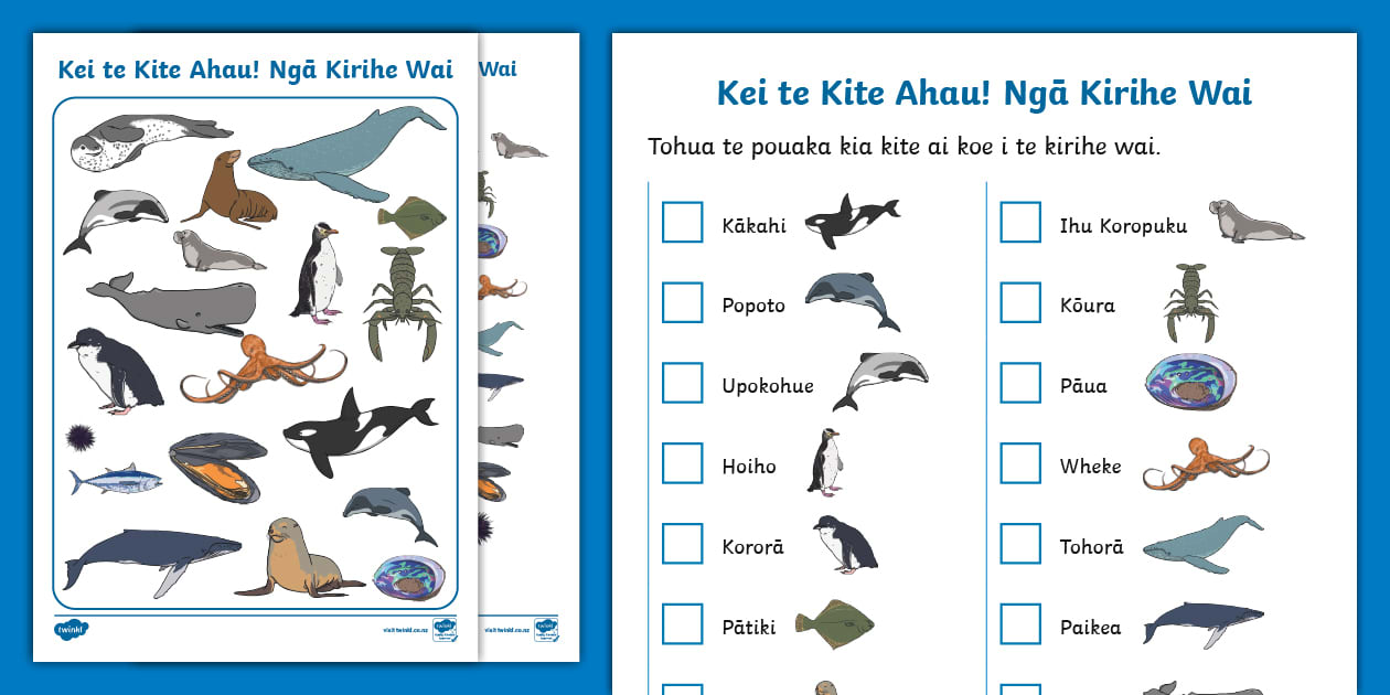 Kei te Kite Ahau! Ngā Kirihe Wai (Teacher-Made) - Twinkl