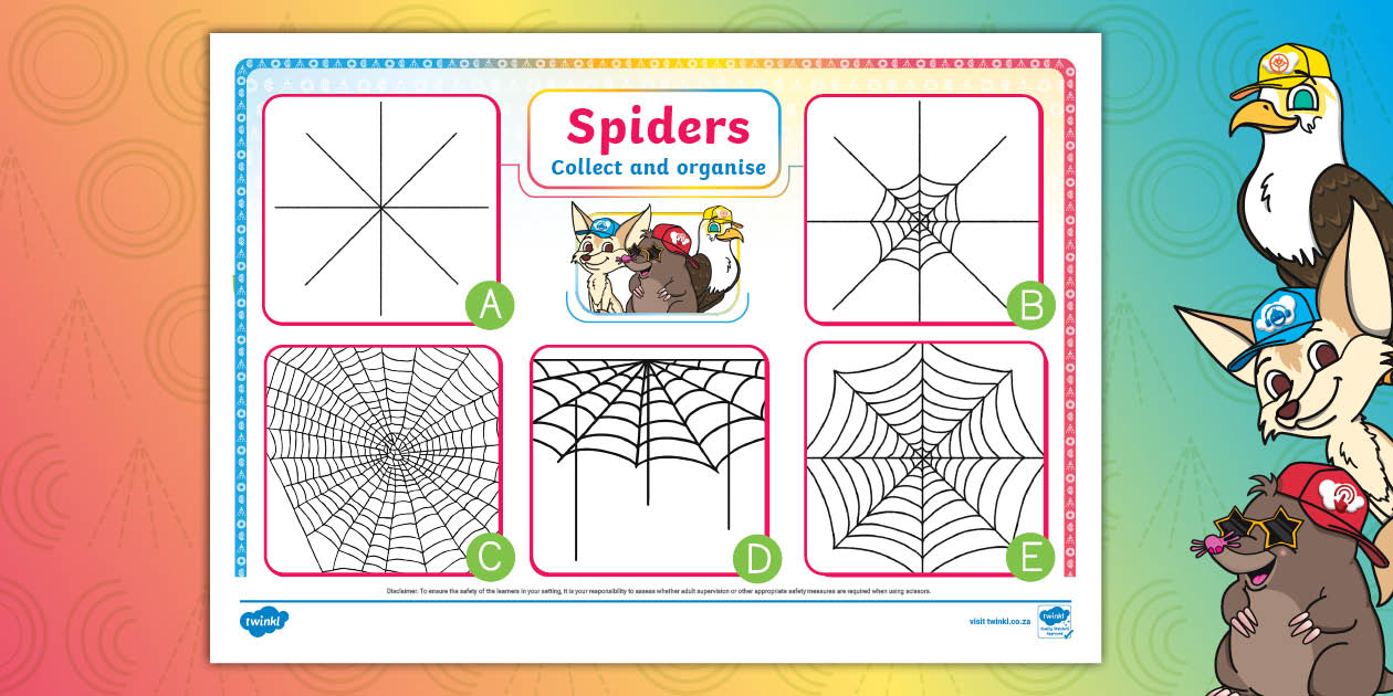 Grade 1 Maths - Data Handling - Collect and Sort - Spiders