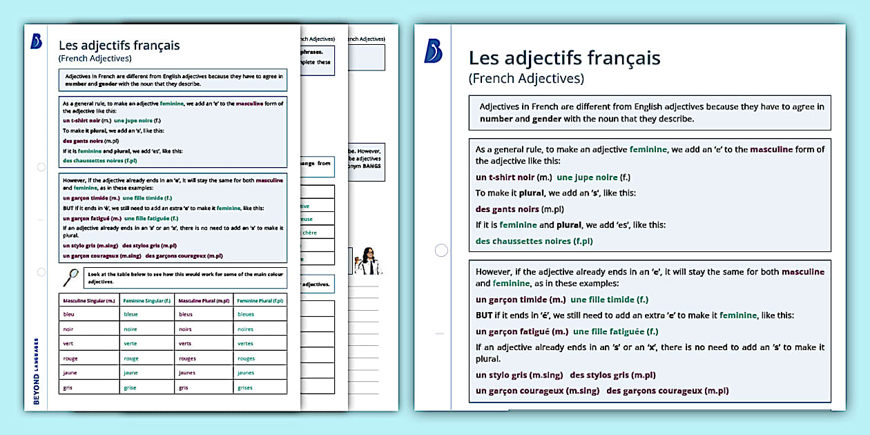 French Adjectives Worksheet (teacher made) - Twinkl
