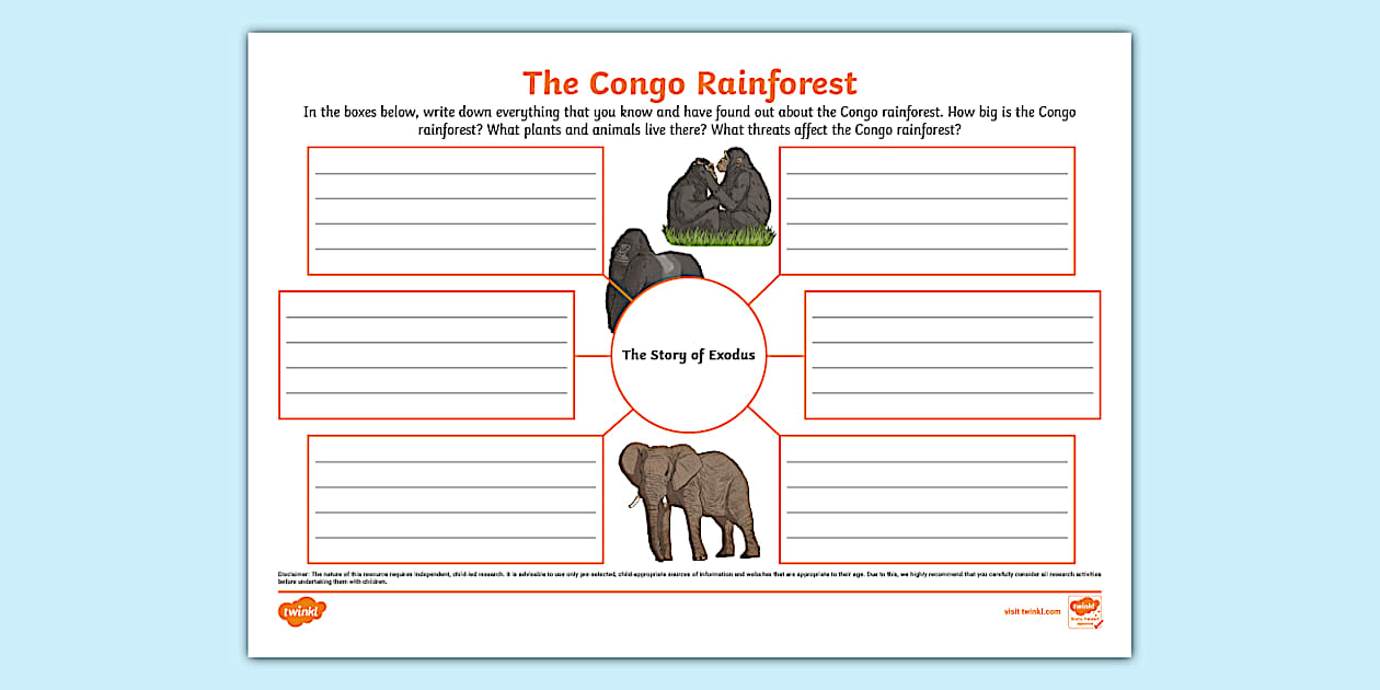 The Congo Rainforest Mind Map Template (teacher made)