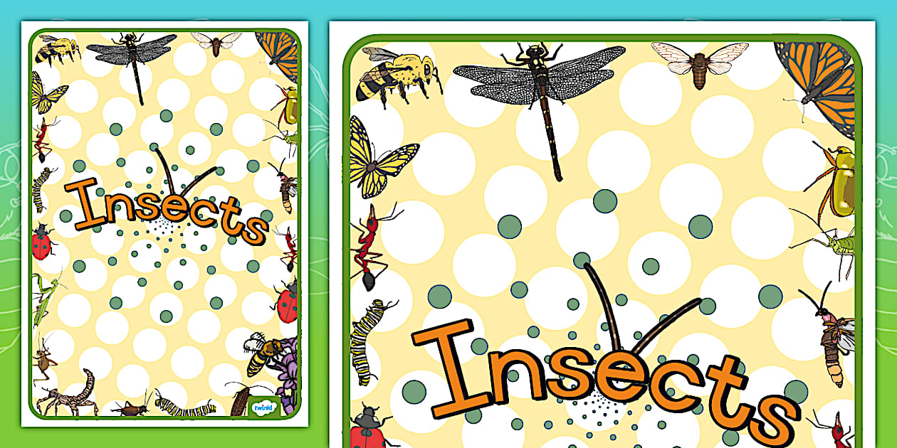 Insects Display Poster - Twinkl Minibeasts - Twinkl