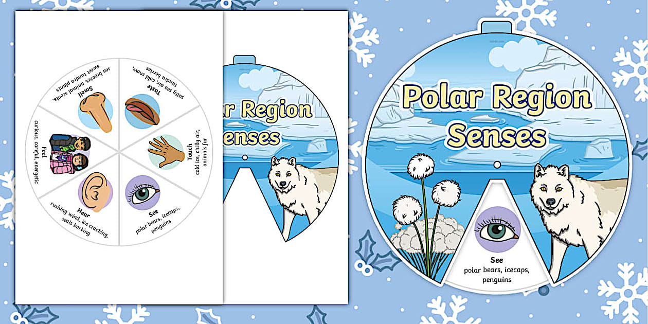 Polar Region Senses Spinning Wheel Twinkl (teacher made)