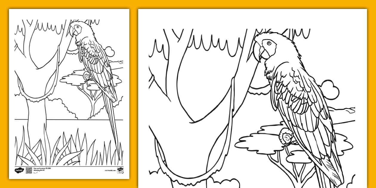 Tropical Bird Colouring Page | Twinkl Colouring - Twinkl