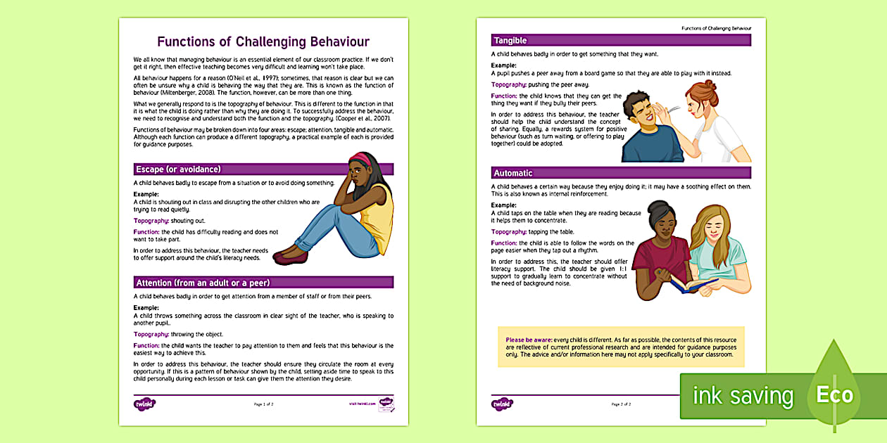 Understanding the Functions of Behaviour Fact Sheet - Twinkl