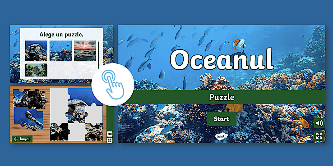 Oceanul – Puzzle online