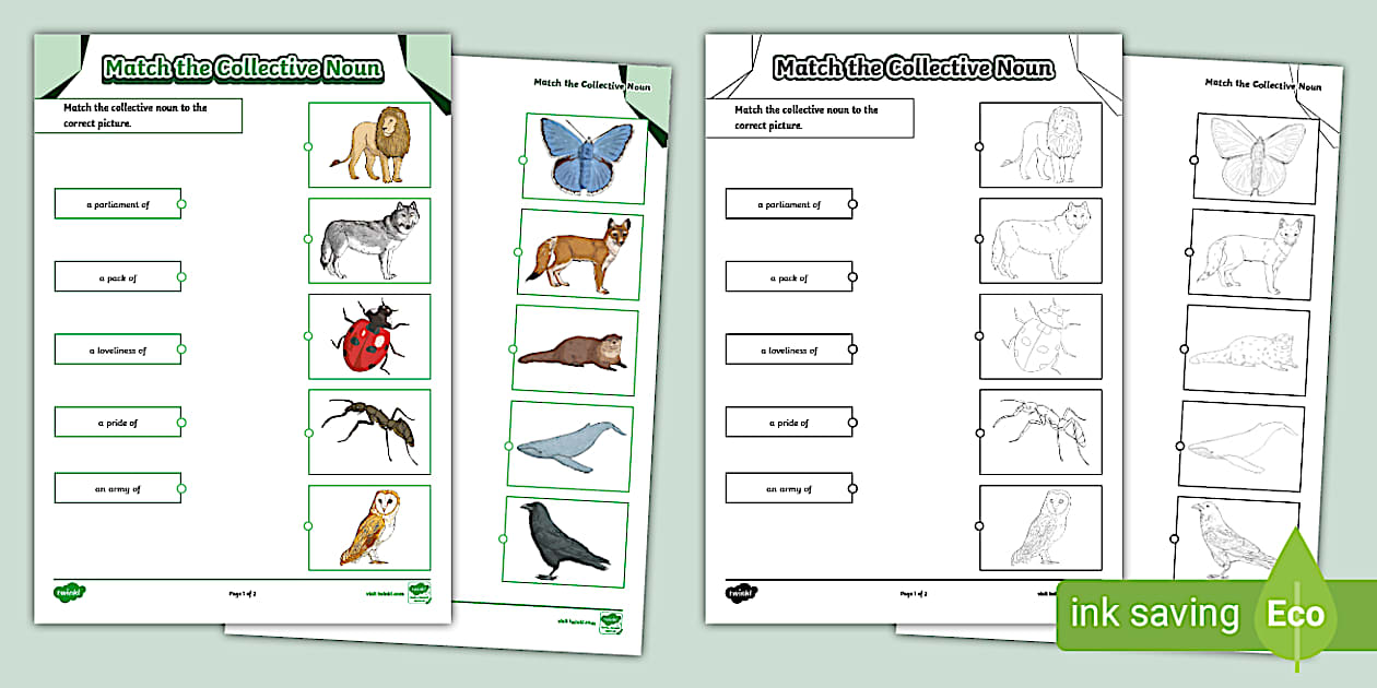 Collective Nouns Matching Worksheet (Teacher-Made) - Twinkl