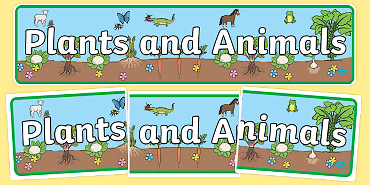 Plants and Animals Display Banner (teacher made) - Twinkl