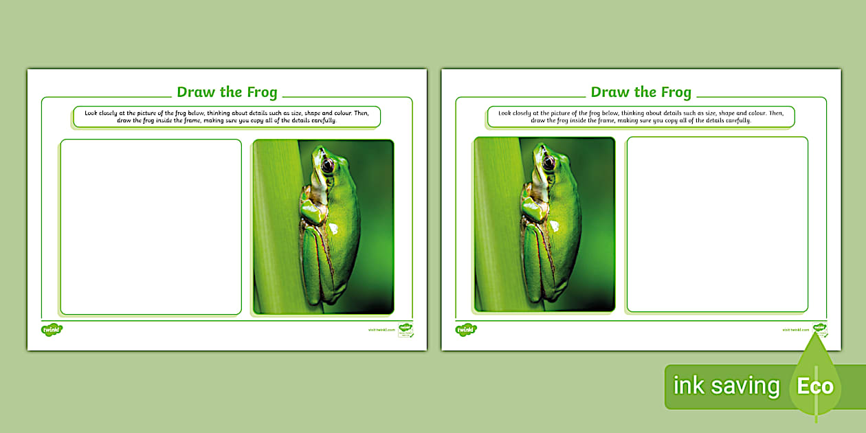 Draw the Frog Art Activity, Frog - Twinkl