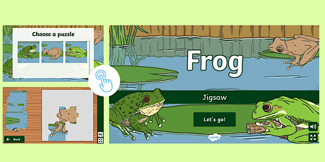 Frog Interactive Jigsaw (teacher made) - Twinkl