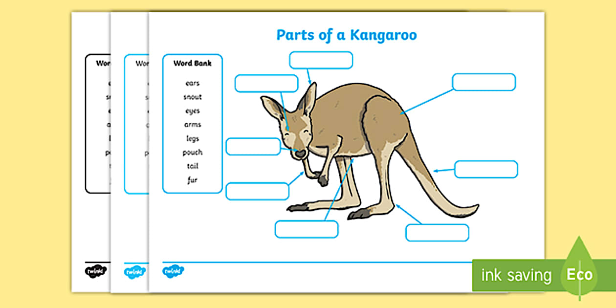 Black and White Parts of a Kangaroo Labelling Worksheet